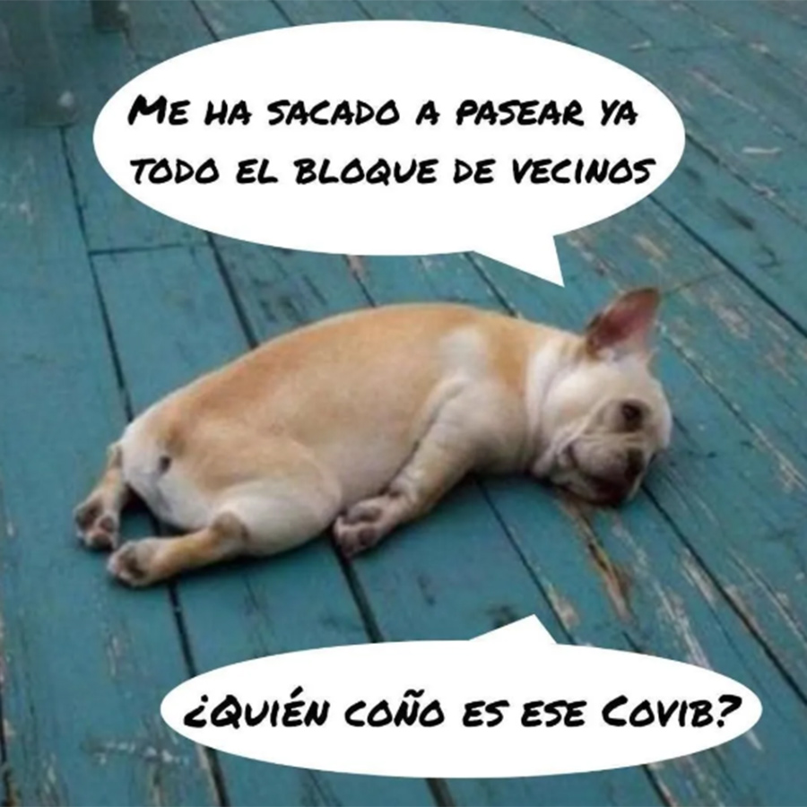 Memes Perro Cansado
