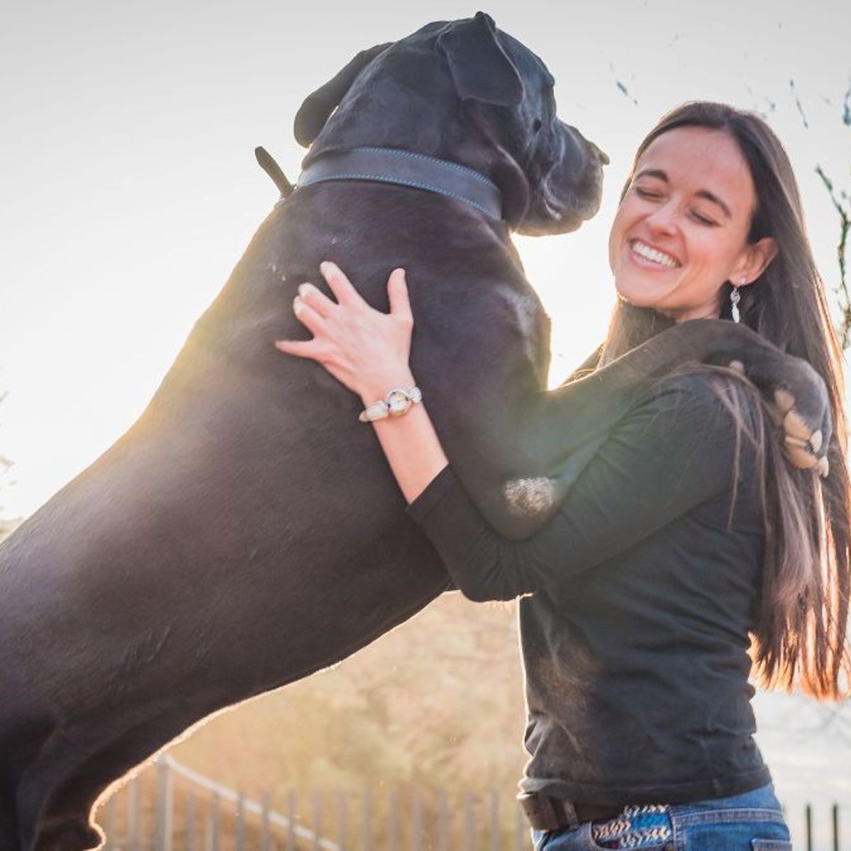 Porque Mi Perro Salta