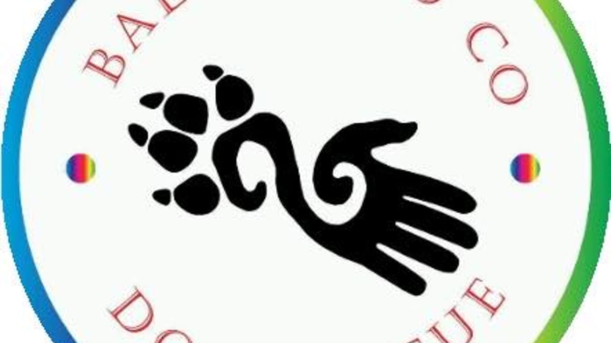 Balto & Co Dog Rescue