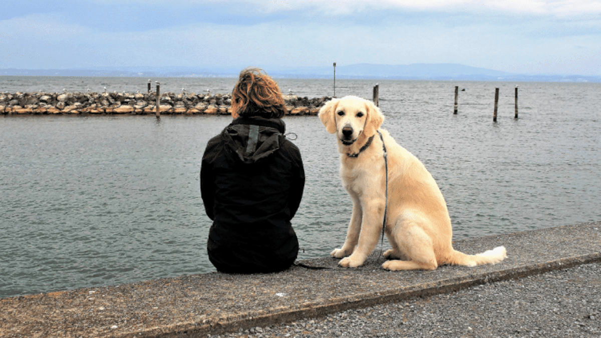 Dog breeds to help tackle loneliness