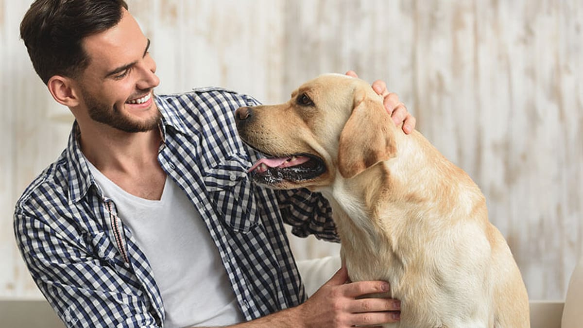 Cómo saludar a un perro correctamente