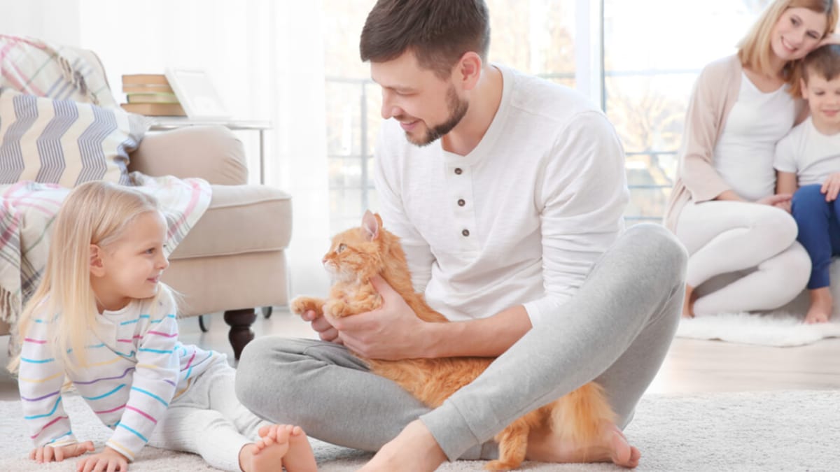Perfect Cat Family List perfect-cat-family-list