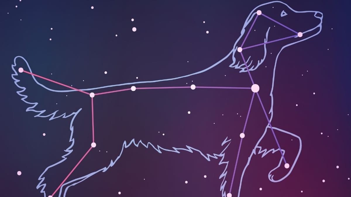 What does your dog's astrology signs reveals about its personality