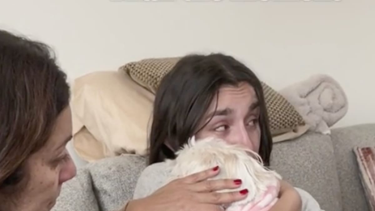Une femme dit au revoir à son Shih Tzu dans une vidéo bouleversante Une femme dit au revoir à son Shih Tzu dans une vidéo bouleversante