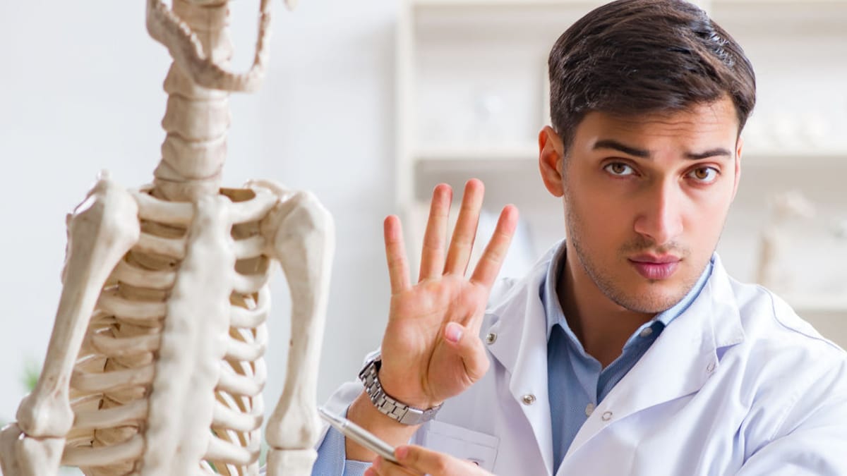 Lo scheletro del cane: anatomia e curiosità