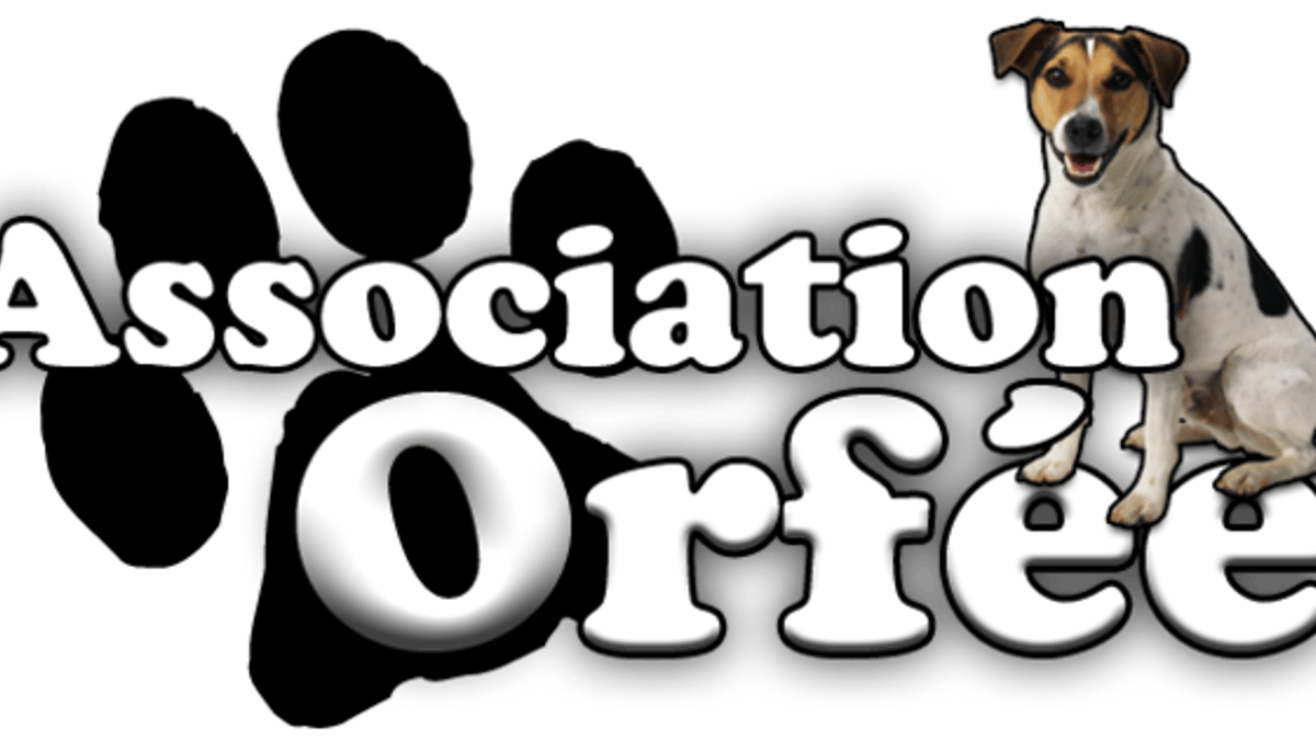 Association ORFEE