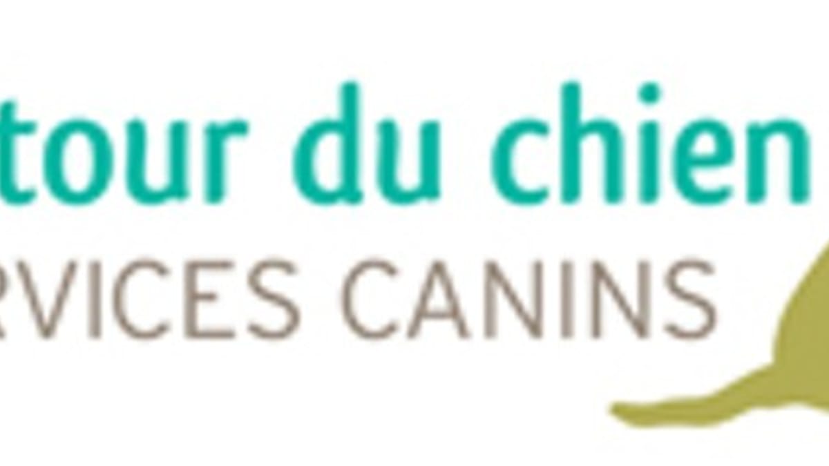 Au'tour du Chien Au'tour du Chat