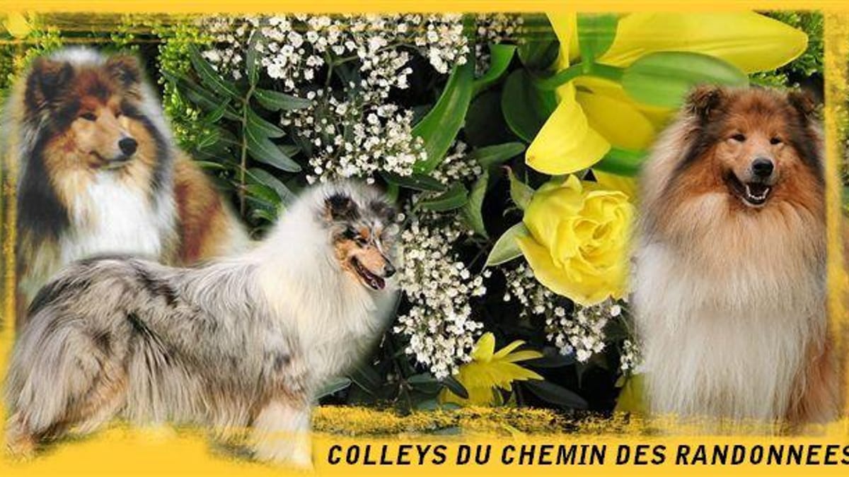 Colleys du Chemin des Randonnées
