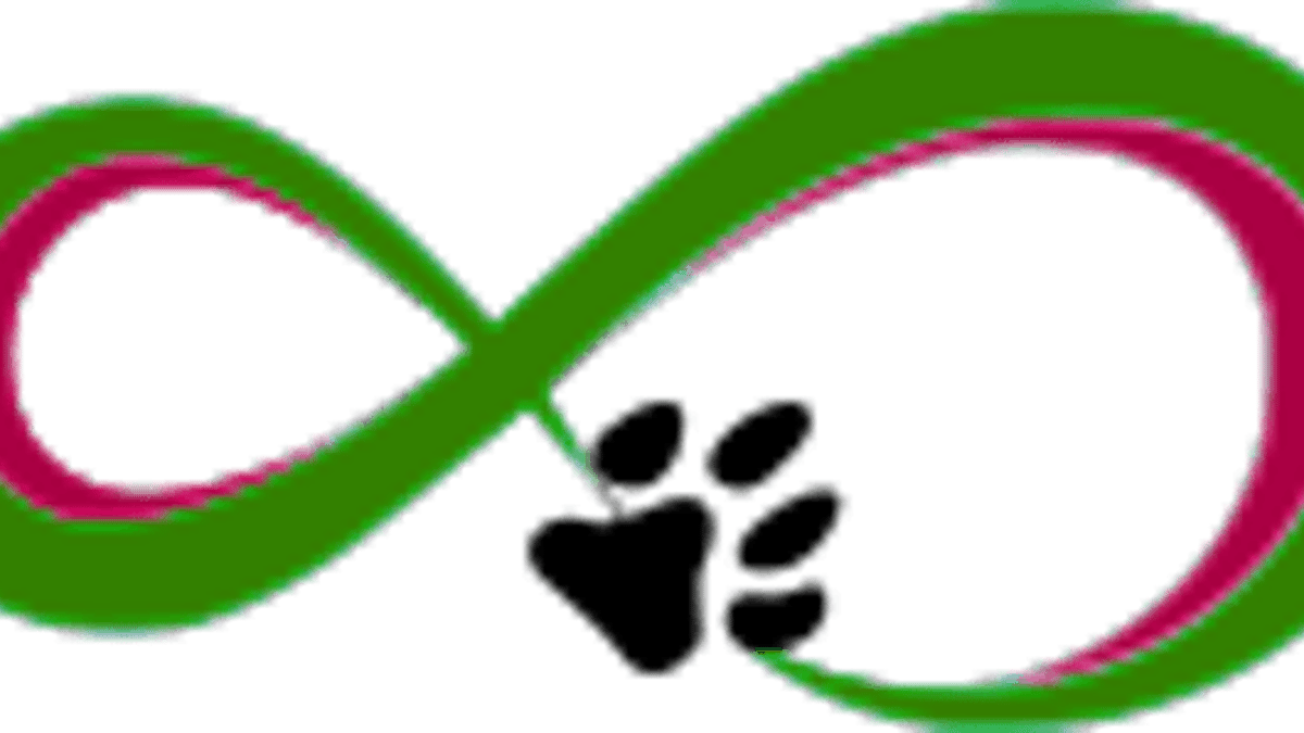 Infinity-dog, Sainte-Radégonde-des-Noyers