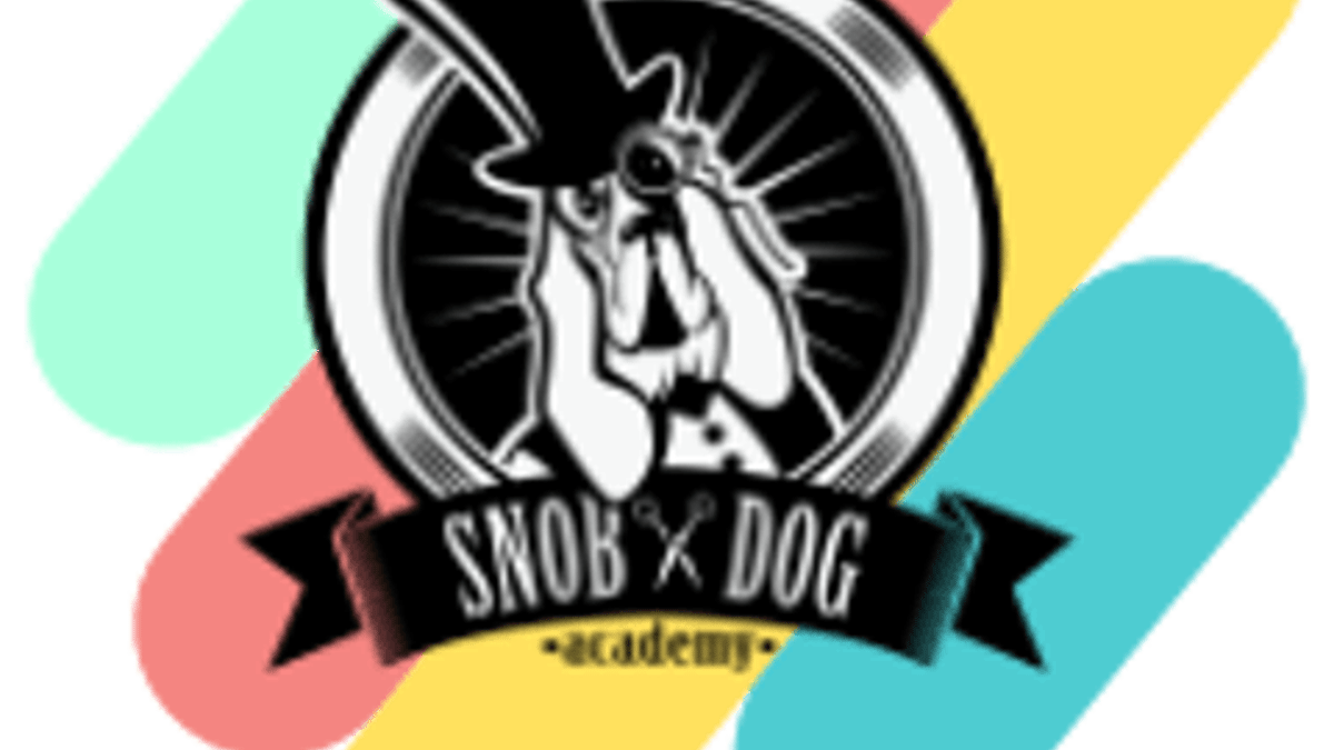 Snob Dog Academy, Marseille