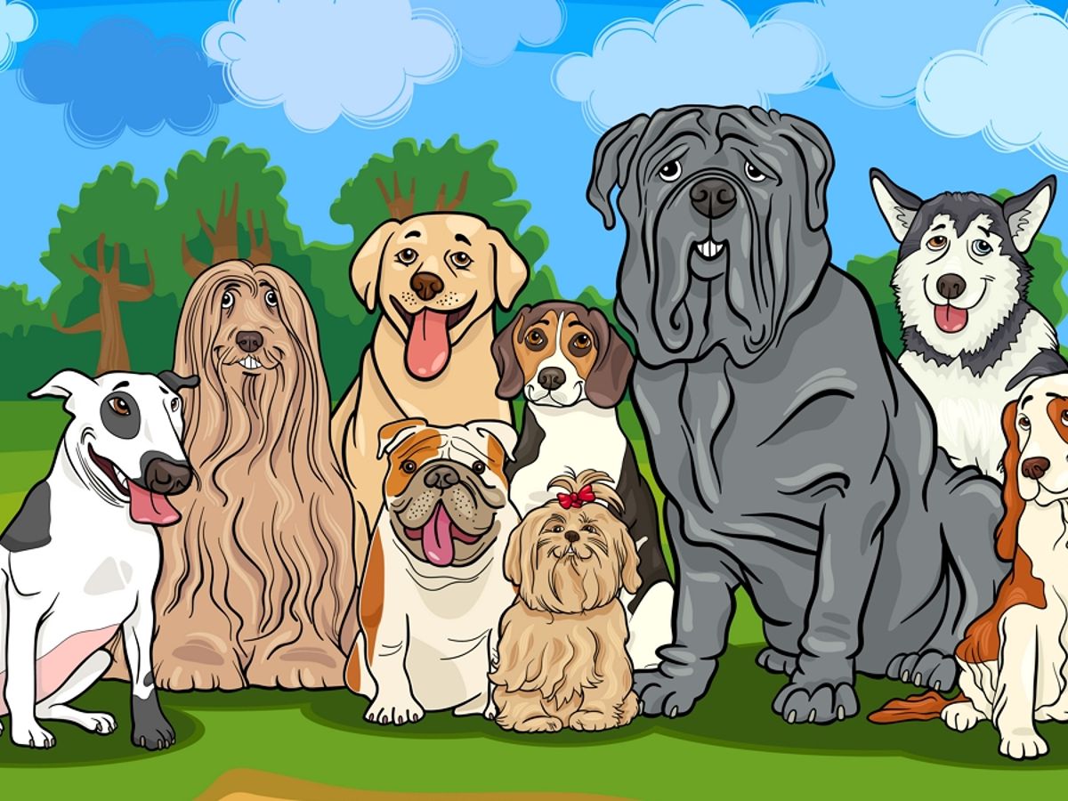 Lista De Razas De Perros Medianos