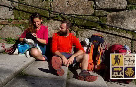 ¿Cuáles son las mejores canciones dedicadas a perros en español?