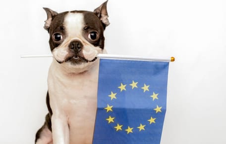 Ecco i cani di Paola Egonu, co-conduttrice della terza serata di ...