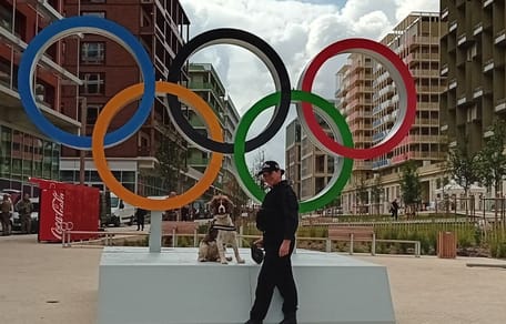 Watch: Chimpanzee attacks Cane Corso, the dog's reaction leaves us ...