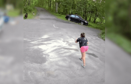 She thinks she's rescuing a kitten: a few weeks later, she realises she ...