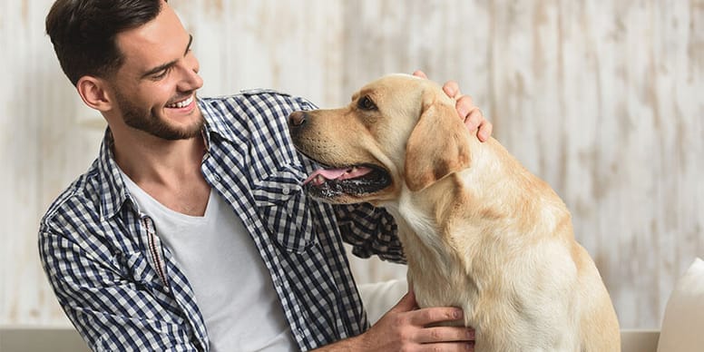 Cómo saludar a un perro correctamente
