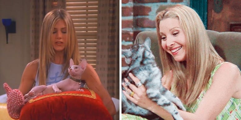 Friends cumple 25 años: los animales que salieron en la serie