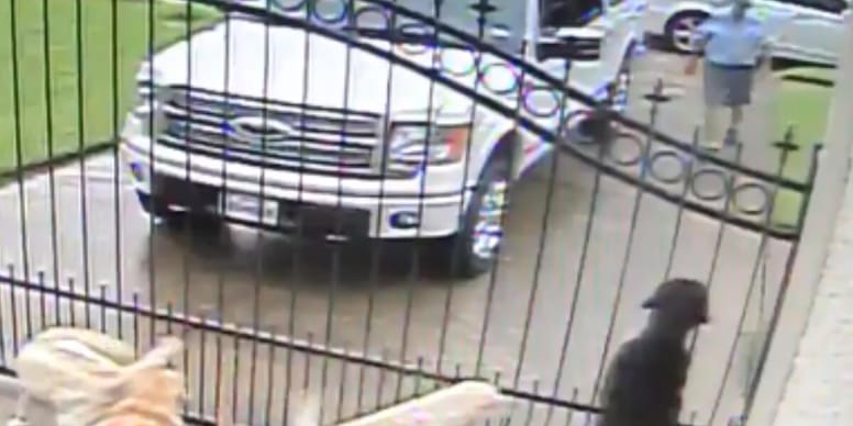 Family astonished by postman's actions at gate caught on CCTV
