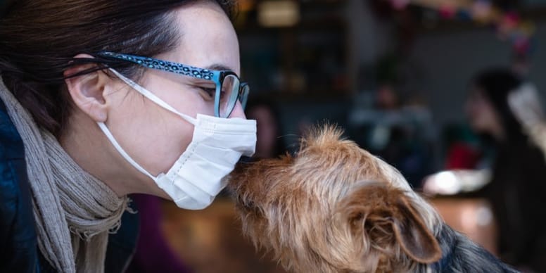 COVID-19: cuarentena con perros y gatos, todo lo que debes saber