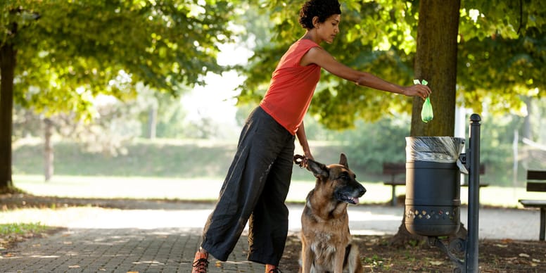 Psia kupa – co można z niej wyczytać o zdrowiu pupila?