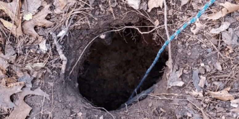 Puppies suddenly vanish in park, owner realises what's happened and ...