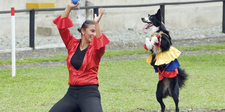 Dog Dancing: qué es y cómo funciona