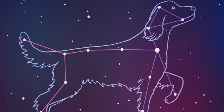 What does your dog's astrology signs reveals about its personality