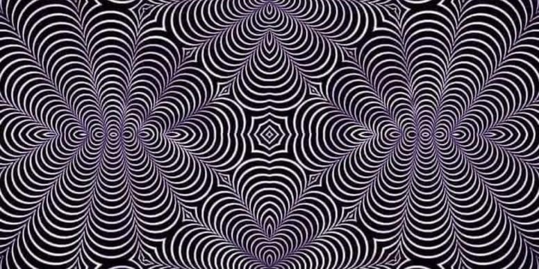 What animal can you spot in this viral optical illusion?