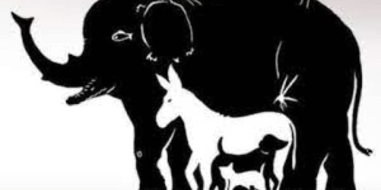 How many animals can you see? Only the sharpest of eyes will spot all 16