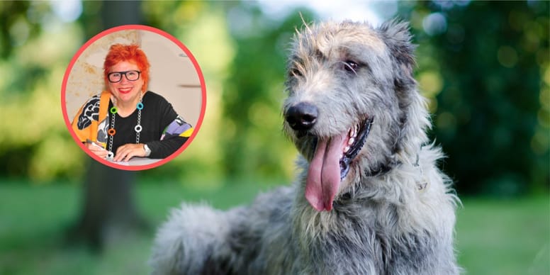 Sensation bei Barbara Salesch: Im Richterzimmer hat sich etwas ...