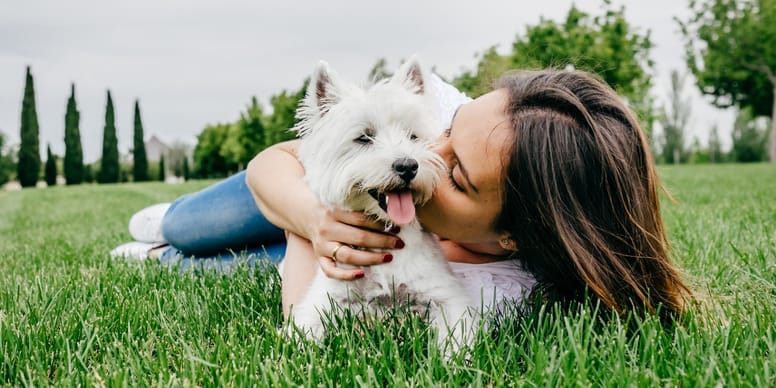 Mon chien aime-t-il les bisous