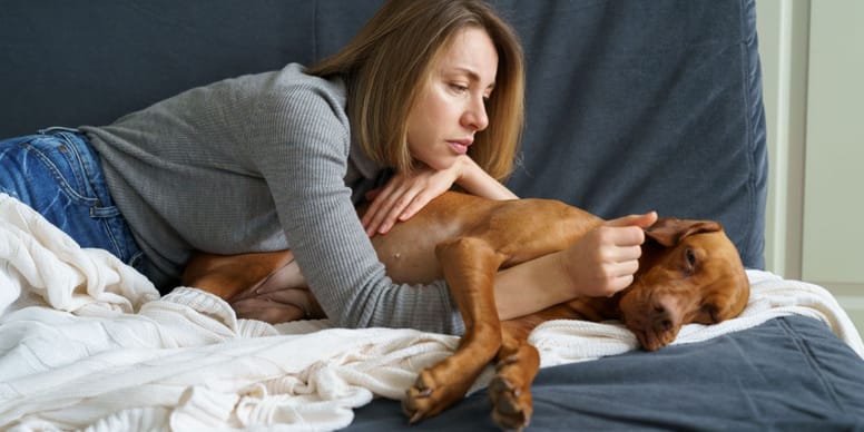 La tenia del cane: cos'è, sintomi e come curare gli animali