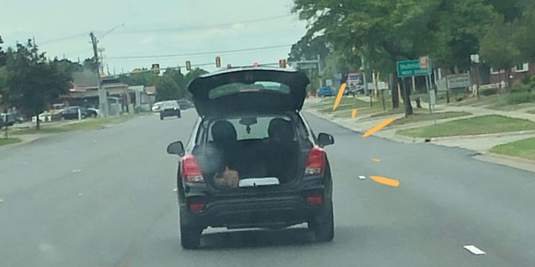 Couple open car boot in middle of road leaving bystanders red-faced and ...