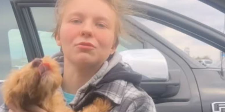 Family returns Goldendoodle puppy after one week for a suspicious reason