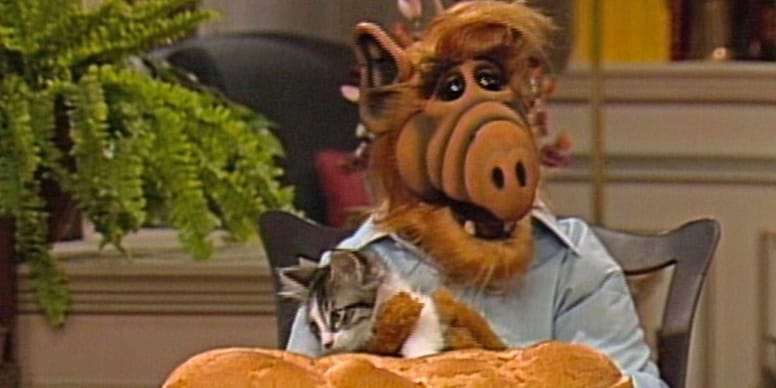 Alf: Katze Lucky hat er zum Fressen gern