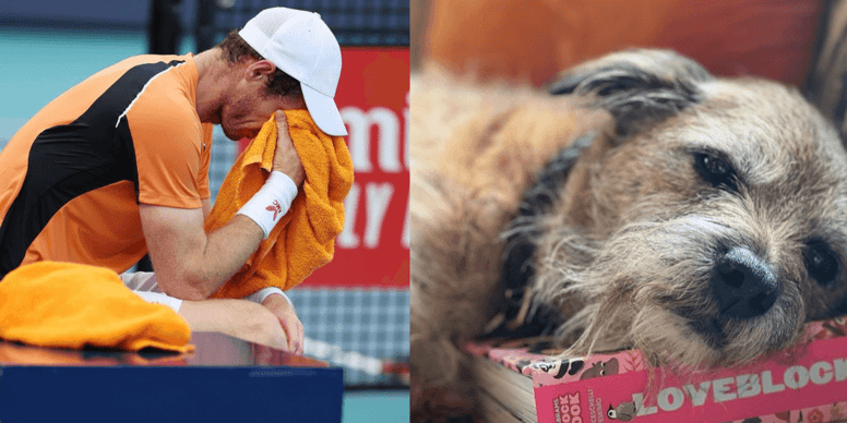 Andy Murray heartbroken over loss of beloved dog Rusty