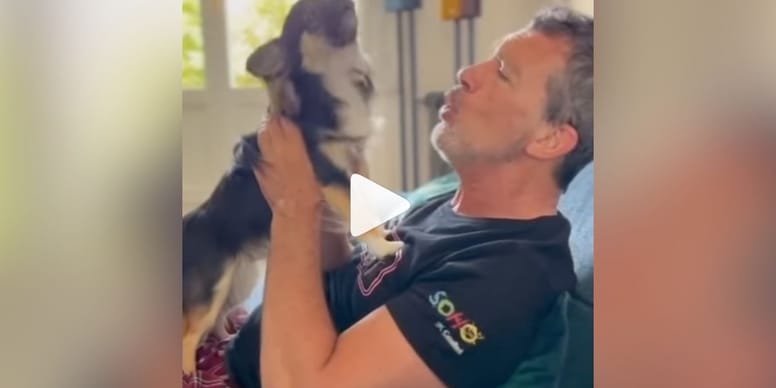 Antonio Banderas y su perro Gypsy se marcan un dueto operístico y las redes aúllan de amor