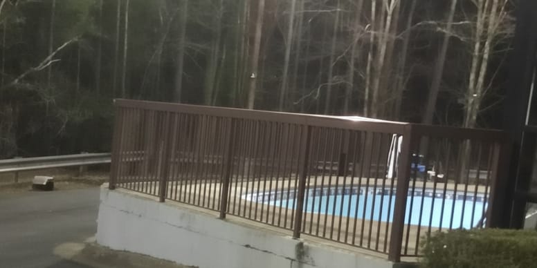 Family dumps cat family at motel: then terrifying rescue ensues