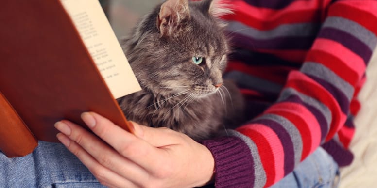 Gedichte für Katzen: Die schönsten Verse für jeden Anlass