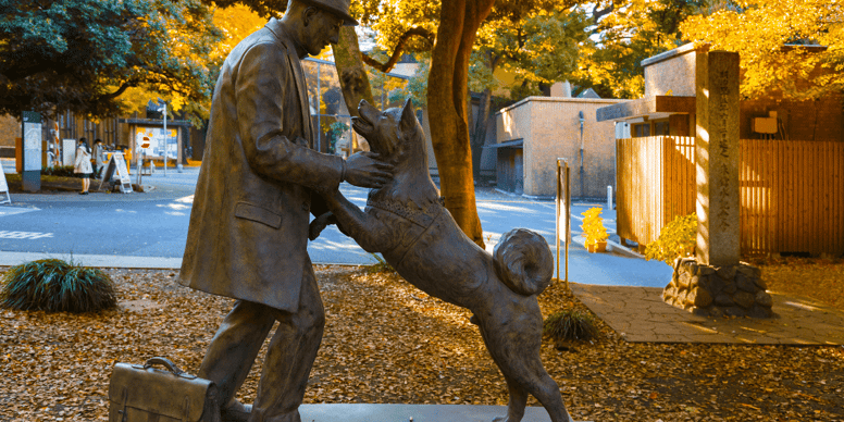 Hachi: The true story of Hachiko, the most loyal dog in the world