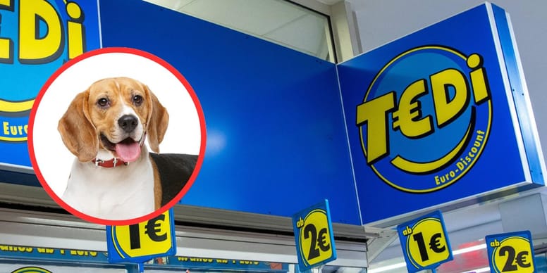 TEDi: Hunde erlaubt?
