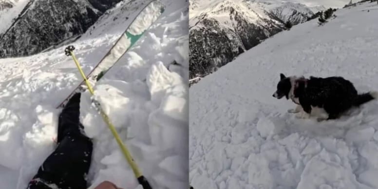 Helmkamera läuft mit: Lawine reißt Hund und Halterin mit – das Ende ist ...