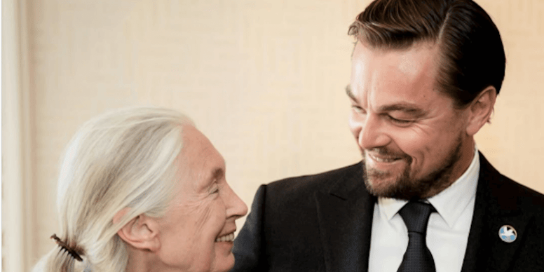 Leonardo DiCaprio e Jane Goodall presentano Howl, un viaggio ...