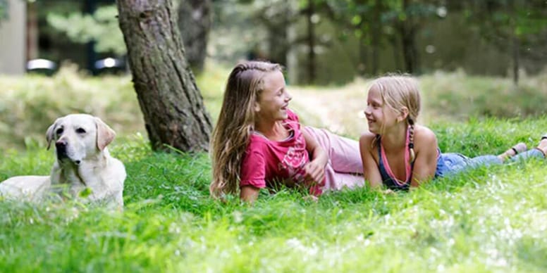 Vakantie met je hond wordt eindelijk serieus genomen: dit park richt huisjes écht in voor ...