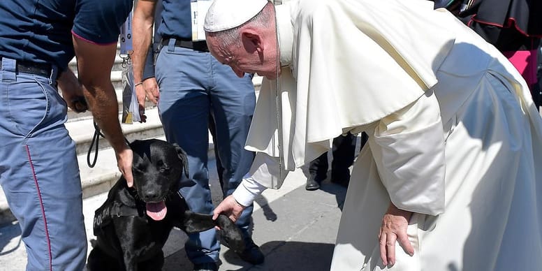 Why did Pope Francis refuse to bless a woman's dog?