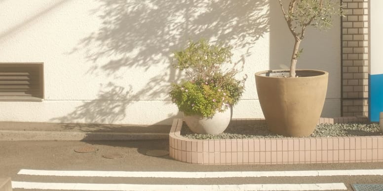 Couple stunned after find four tiny newborns hidden in flowerpot