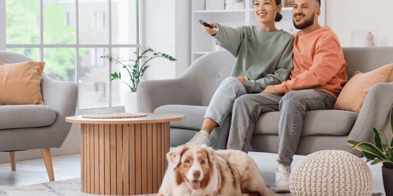 Could your pet be the star of Purina Pro Plan's next campaign?