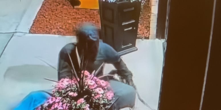 Man camps outside vet at 4am in desperate bid to save his dog