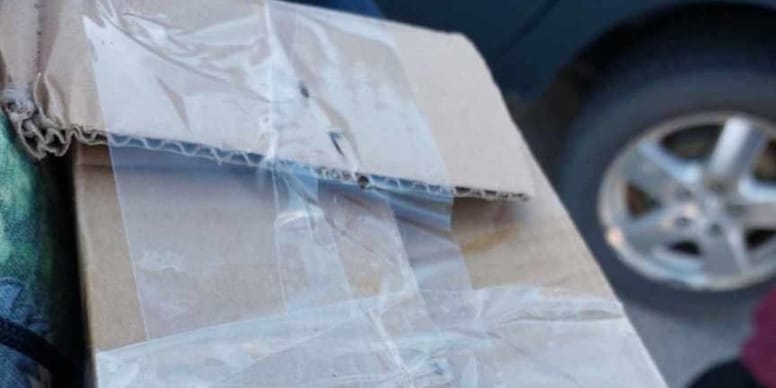 Woman hears a noise in a dumpster and finds a box taped shut