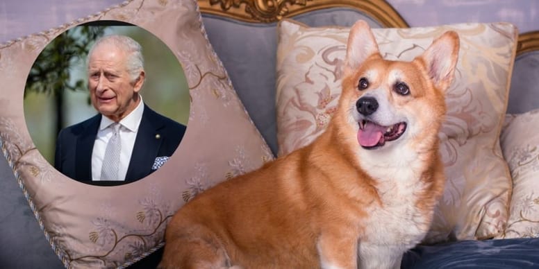 "Deeply unsettled": King Charles has a plan to reclaim the Queen's ...
